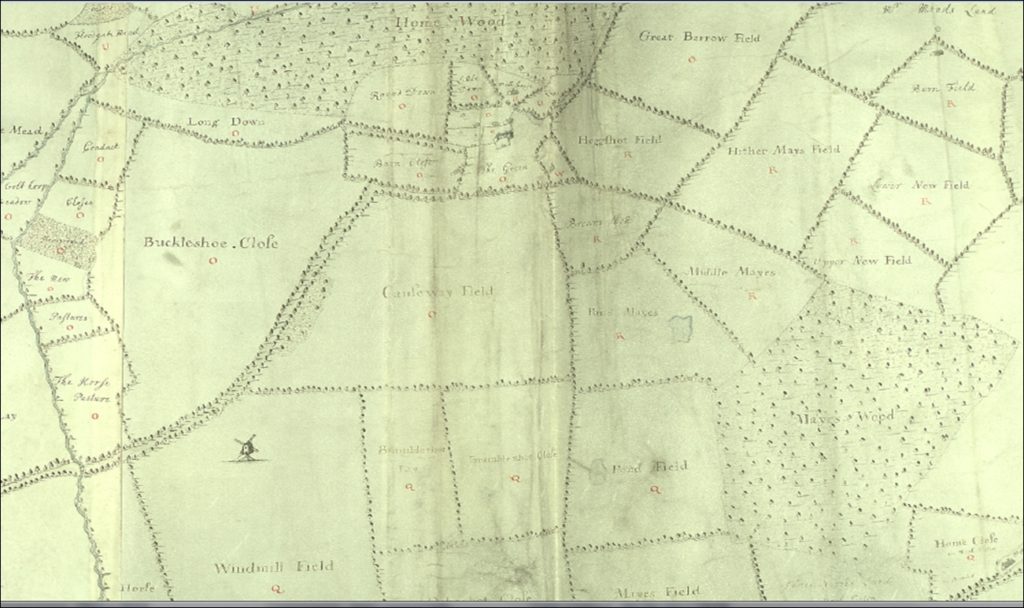 Tilty Windmill | Tilty Archaeology & Local History Group